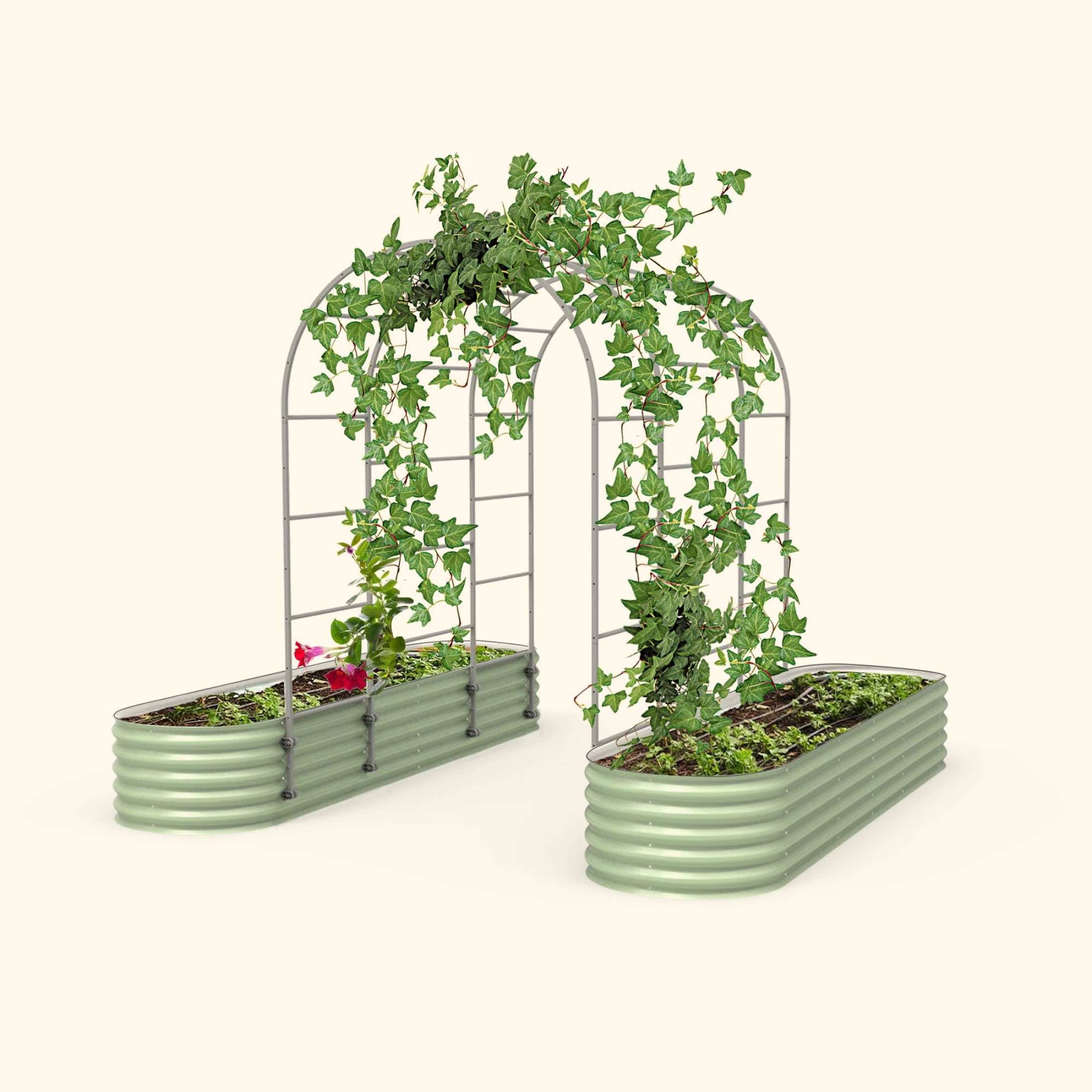 Arched Trellis Bundle: 2 Garden Beds + Trellis – Vego Garden