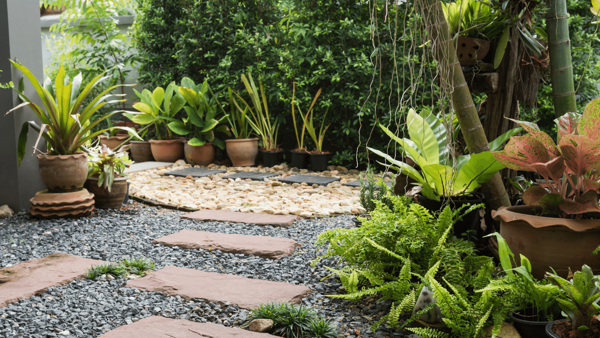 Fall Planting Guide: Best Choices for Your Garden