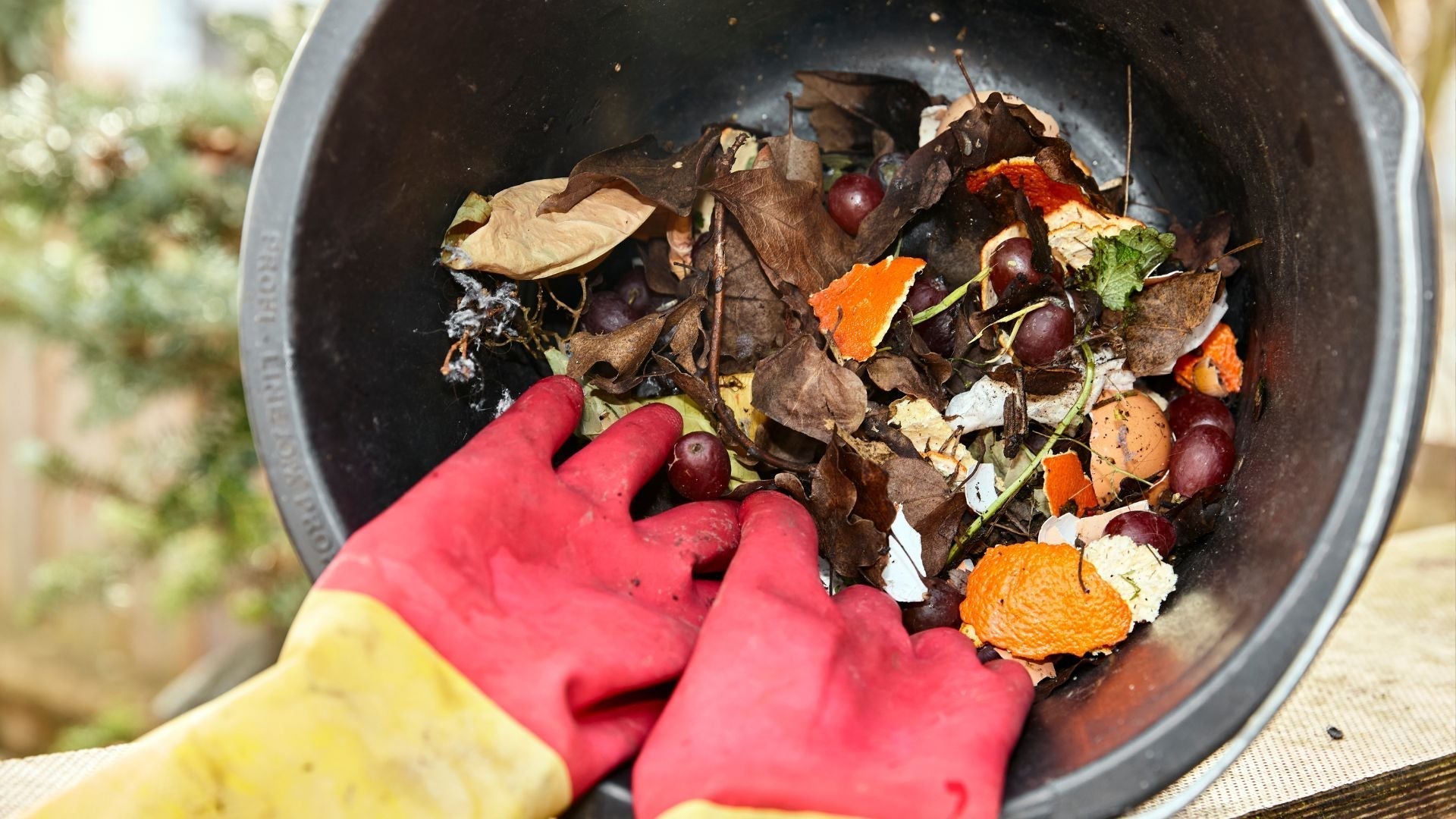 Composting and Soil Improvement: Adding Fallen Leaves to Compost Piles