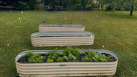 Vego Garden Furthers Its Commitment to Community Empowerment