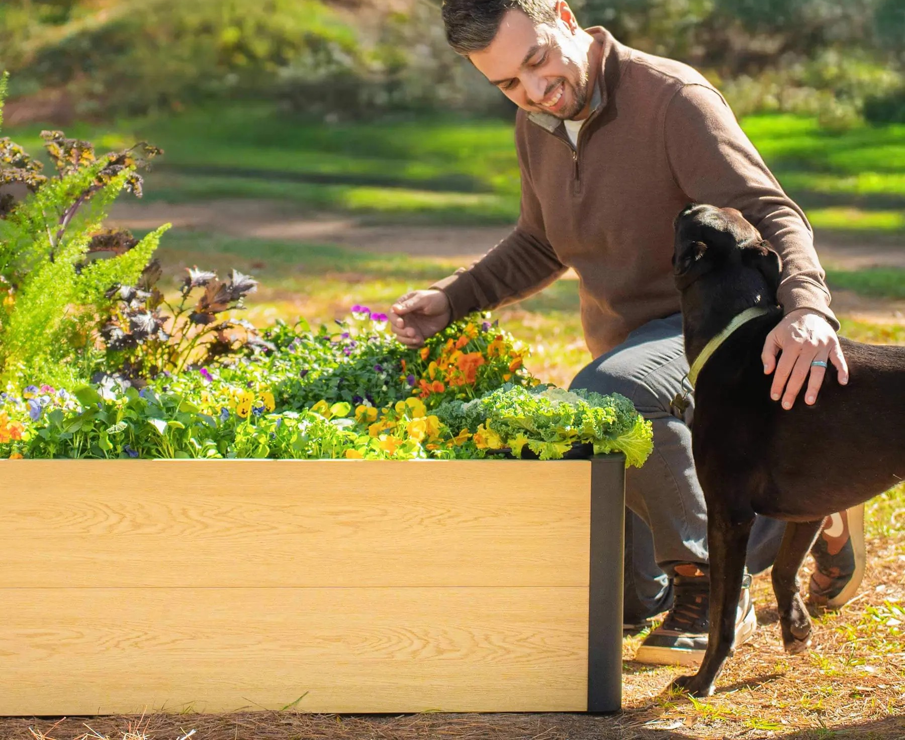 6 Ways a Raised Garden Bed Can Make Gardening Way Easier