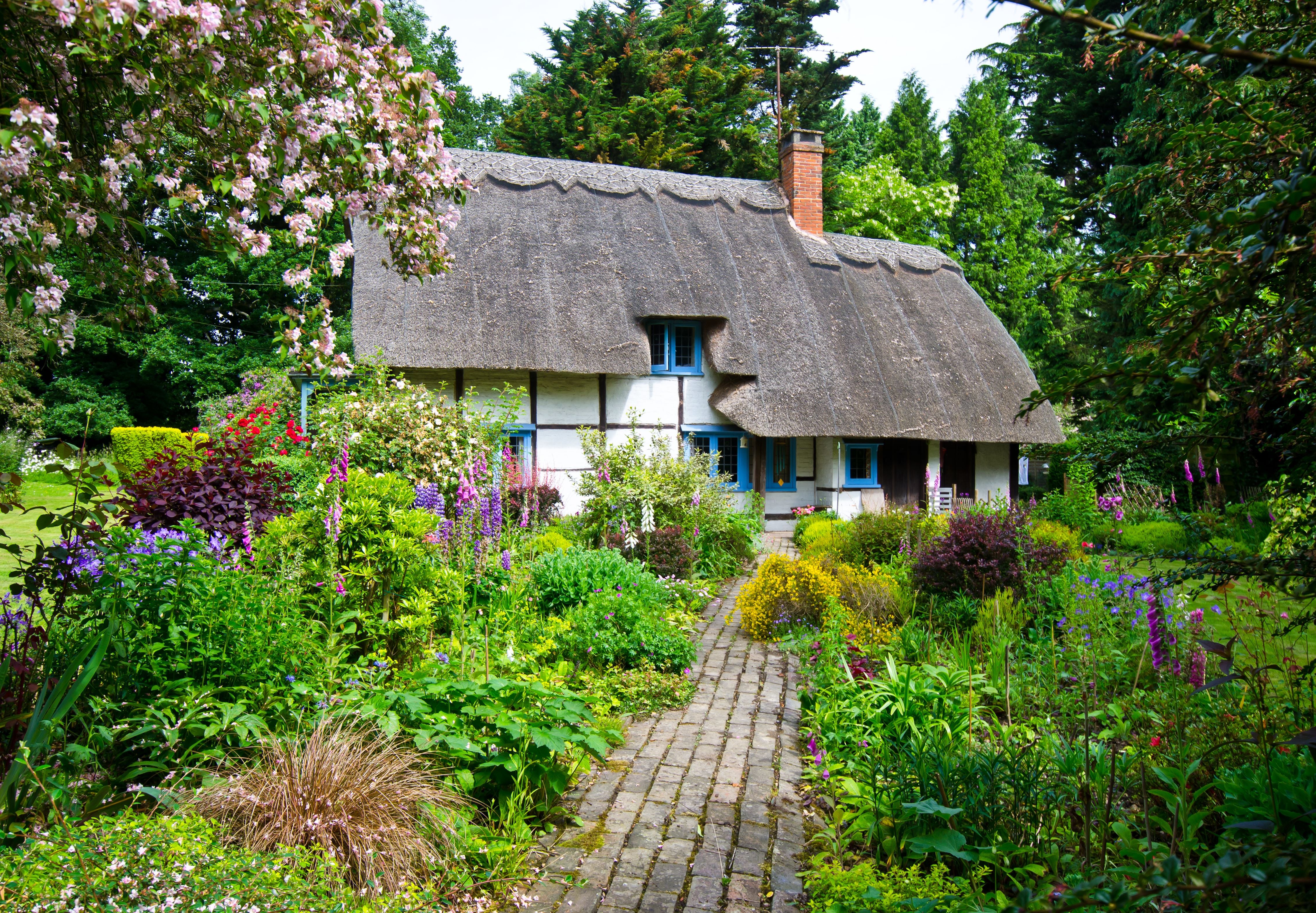 The Art of Layering: Understanding Planting Depths in Garden Beds ...