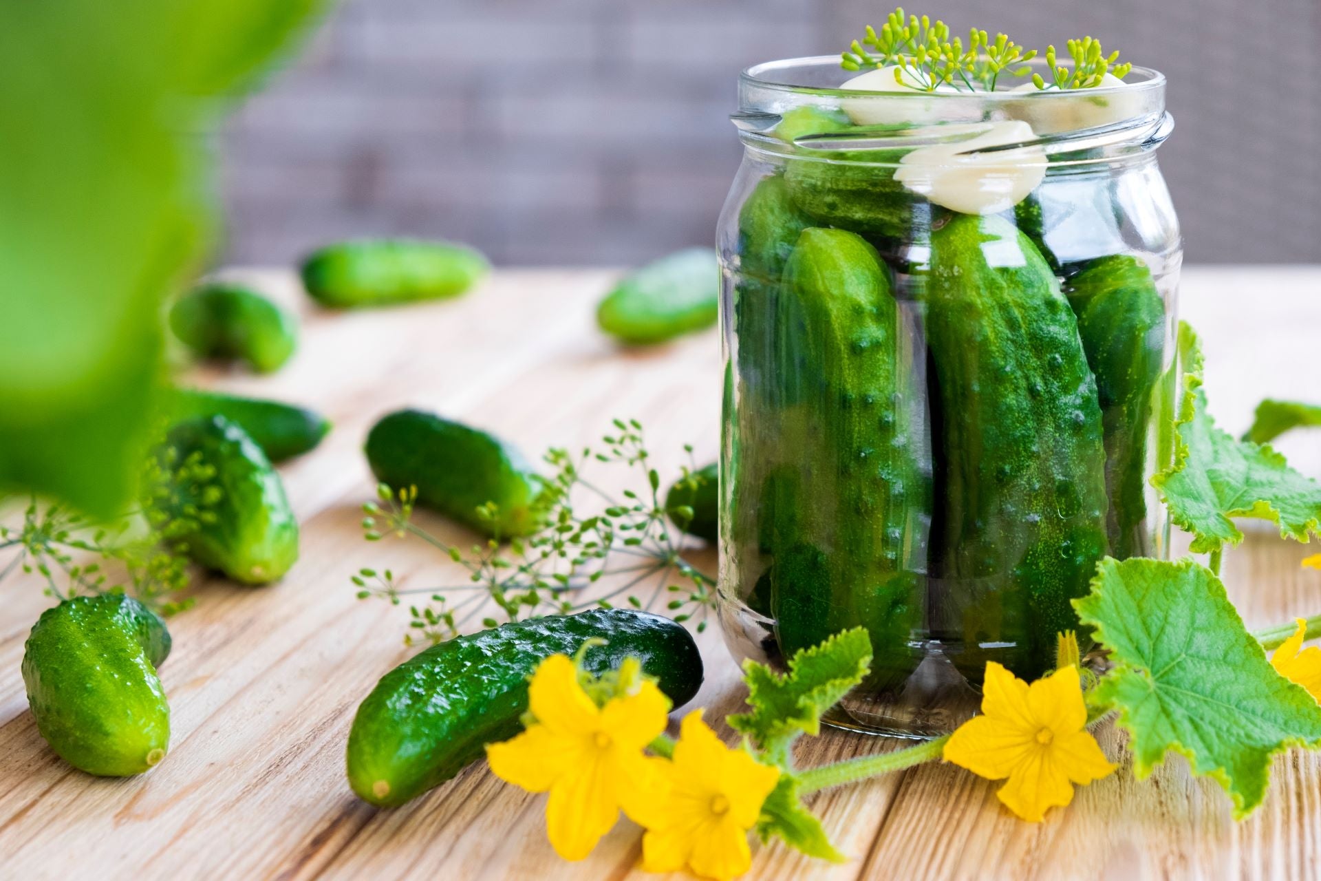 Dill-icious! Your Garden Guide to Growing and Pickling Cucumbers – Vego ...
