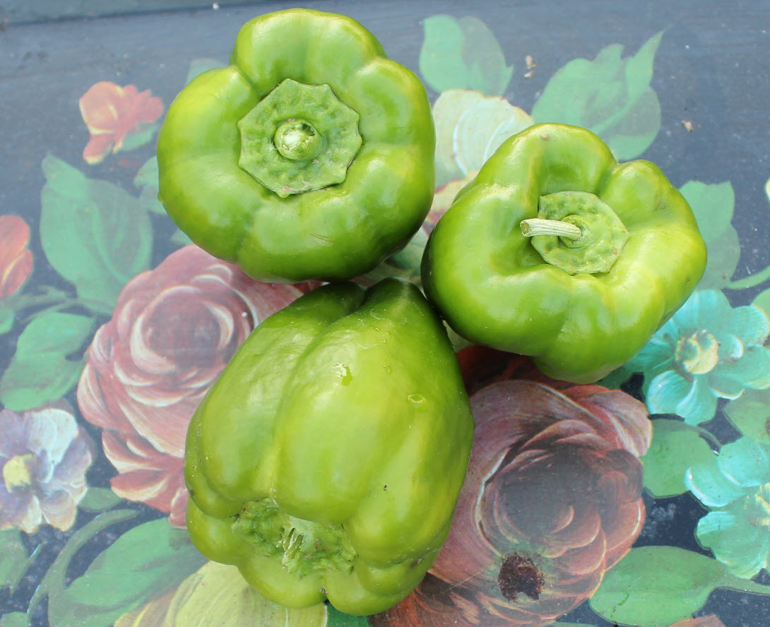 In Your Garden: Grow Better Bell Peppers