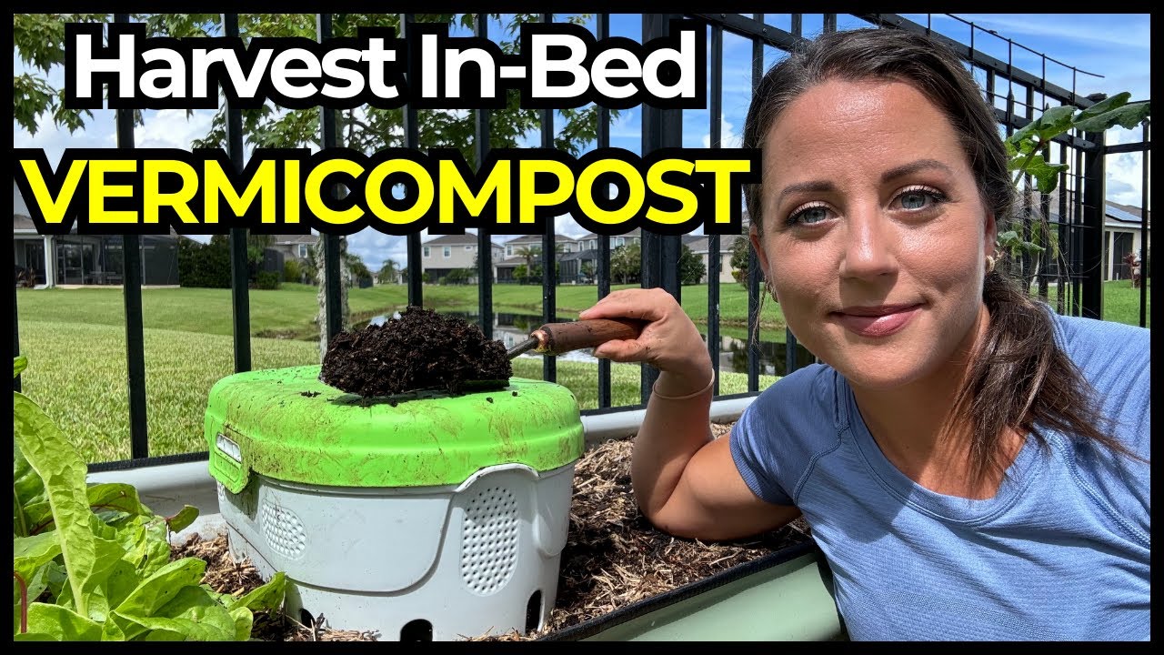 Step-by-Step Guide to Harvesting Compost from an In-Bed Vermicompost S ...