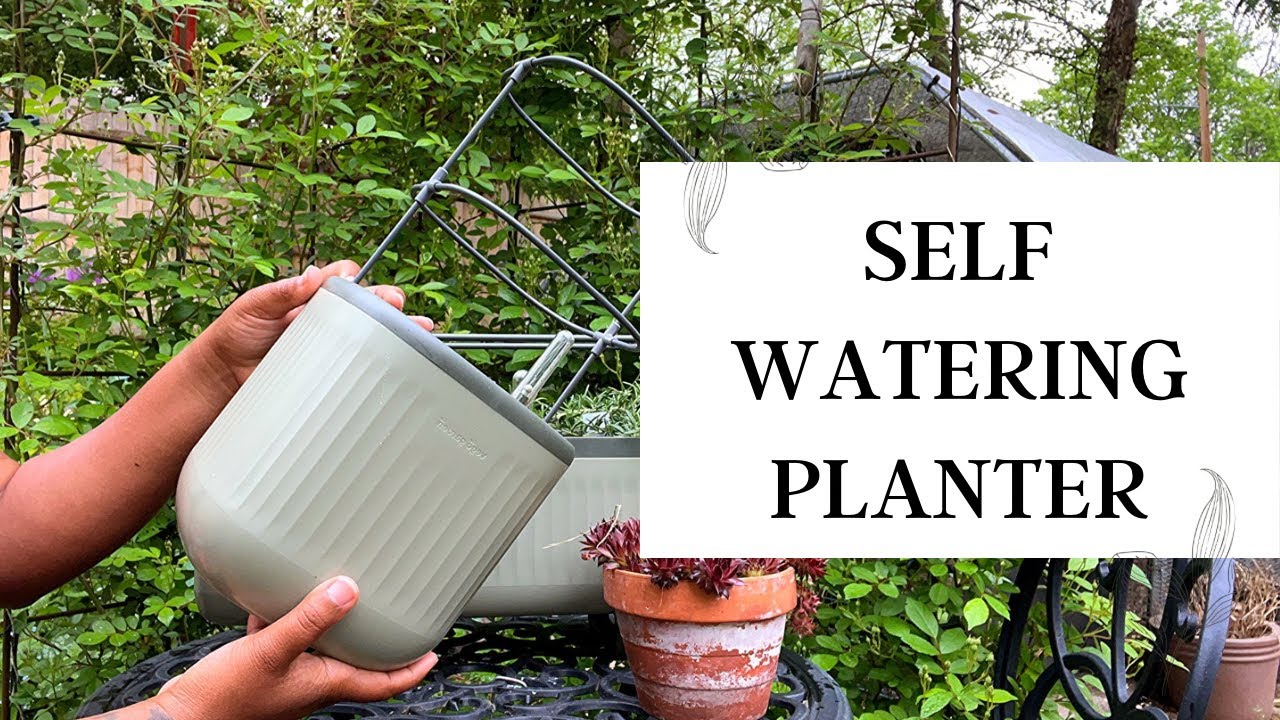 Self Watering Garden Planters | Moving Old Potting Soil | Amazon Solar ...