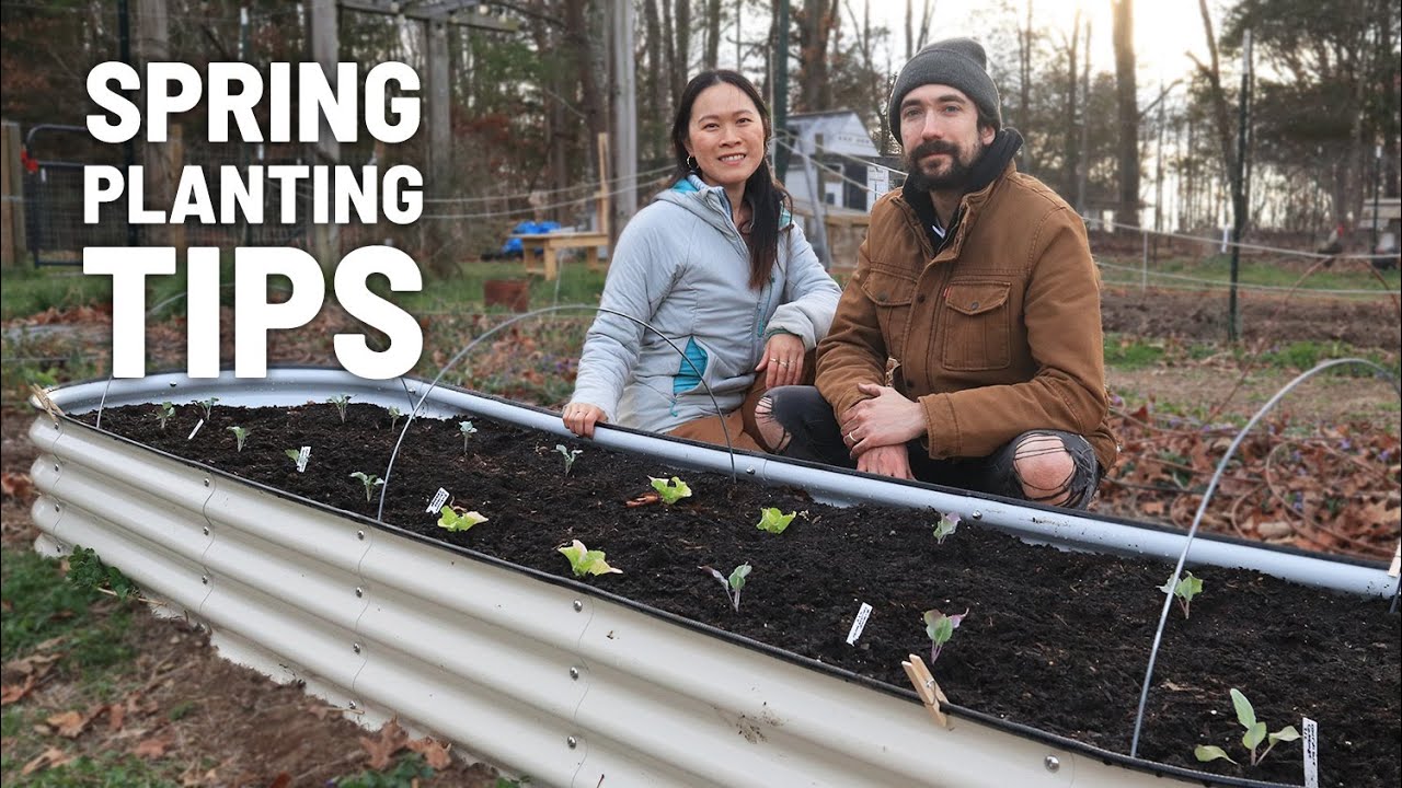 TIPS & TRICKS for Spring Planting to prevent pests & increa...