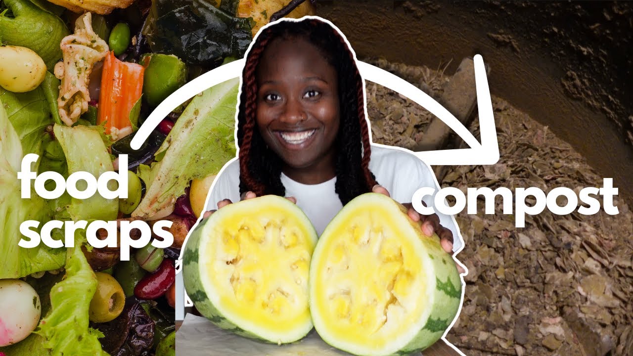TRANSFORMING food scraps into compost in UNDER 24 Hours! 🤯 feat. ‪@veg
