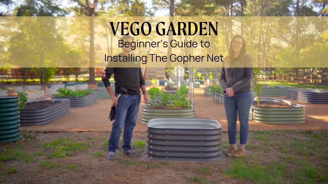 Beginner's Guide to Installing Gopher Net | Vego Garden