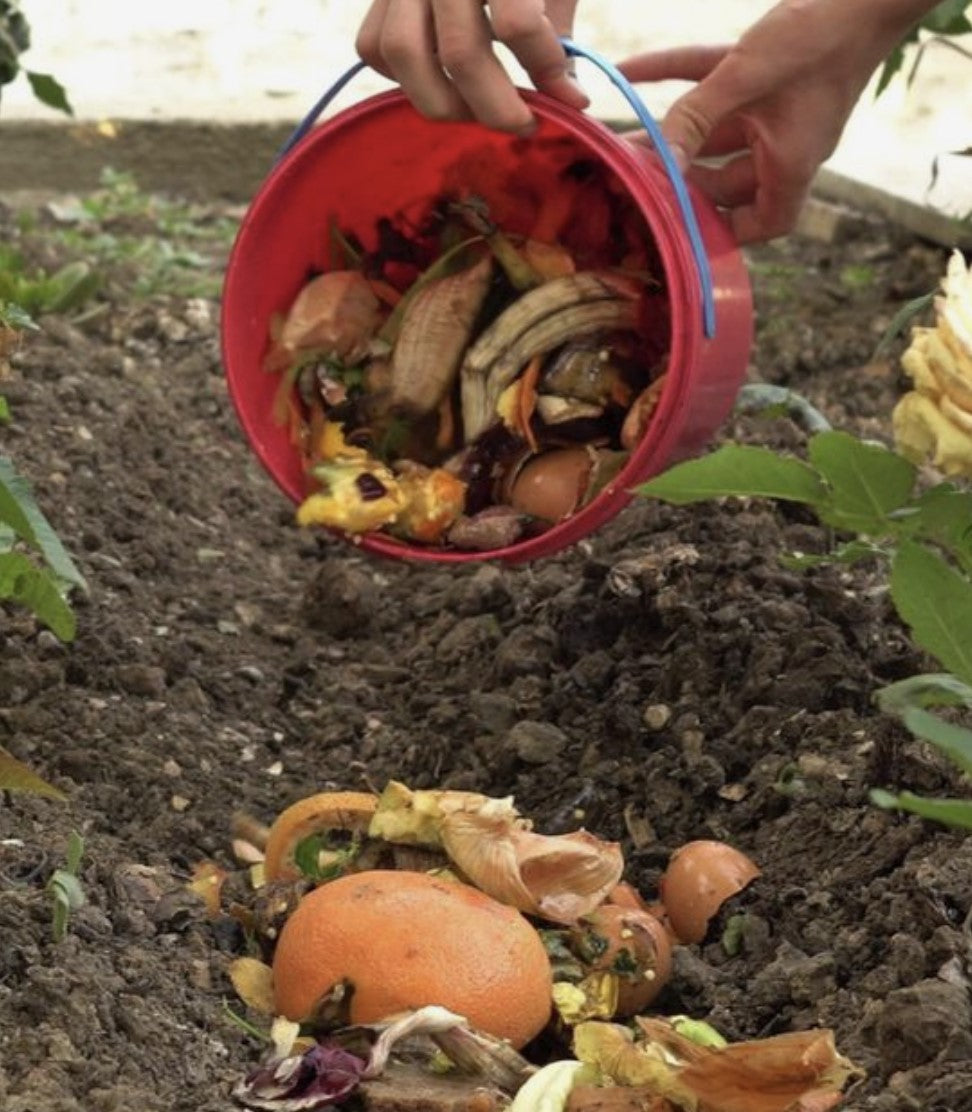 Unleashing the Power of Nutrient-Rich Soil with Smart Composting – Vego ...