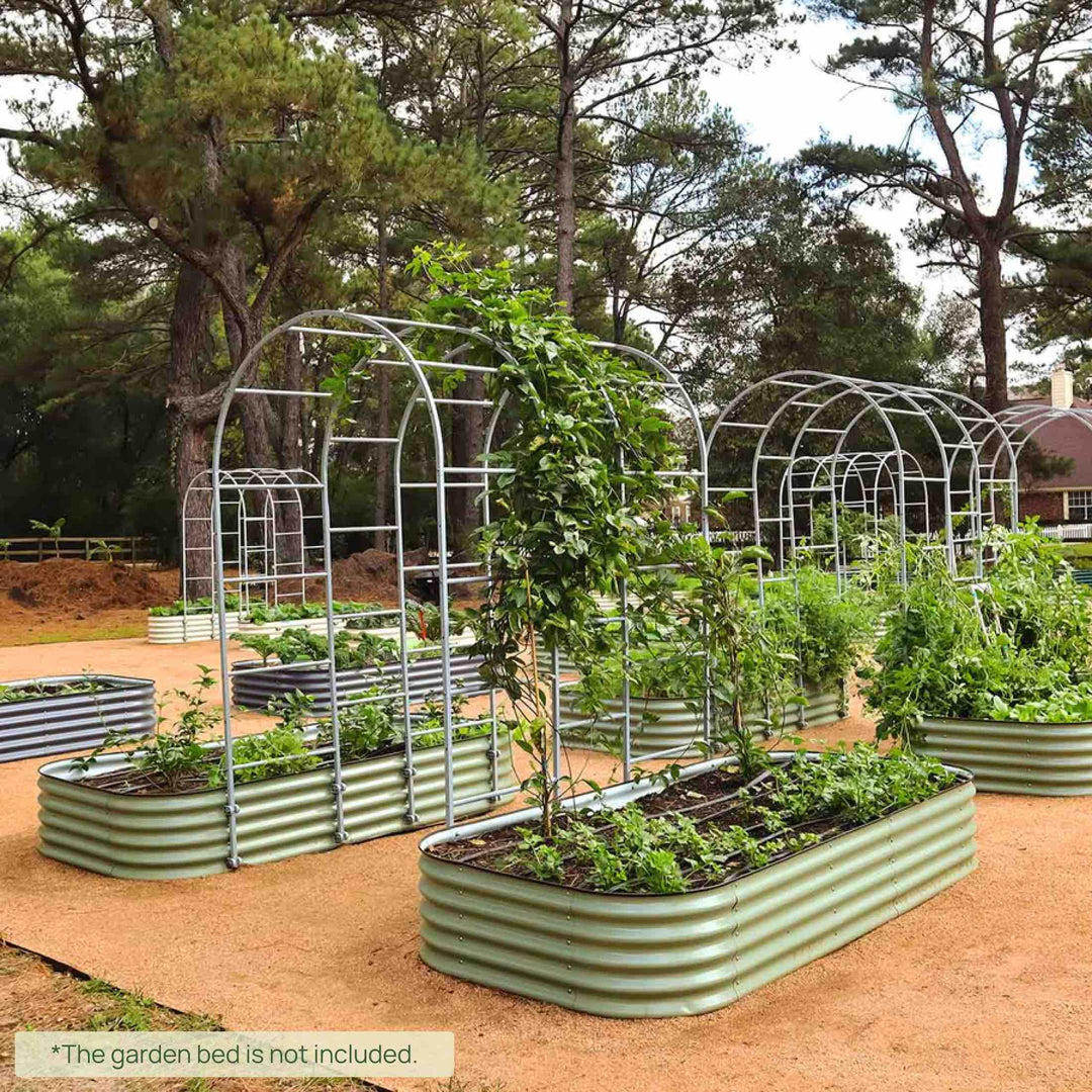 Arched Trellis System | Enhance Your Garden with Garden Trellis – Vego ...