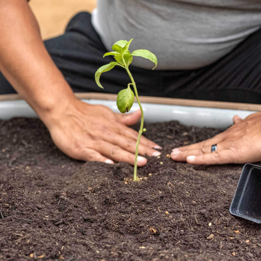 Vego Base Soil: Elevate Your Garden | Vego Garden