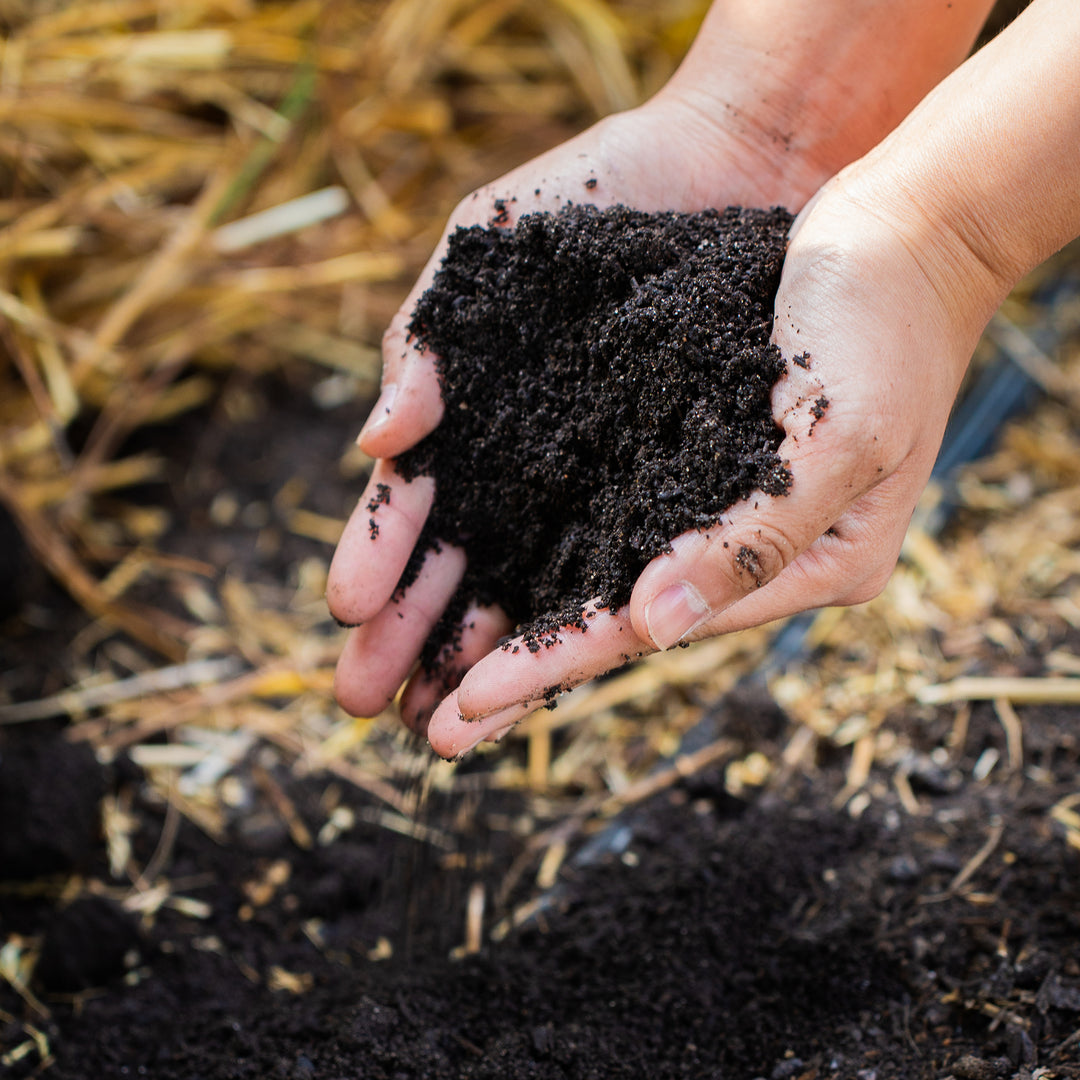 Locally Sourced Organic Worm Castings | Omri Certified | Vego Garden