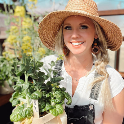 Affiliates | Vego Garden