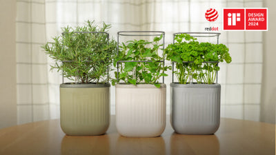 World's Best Modular Metal Raised Garden Beds | Vego Garden