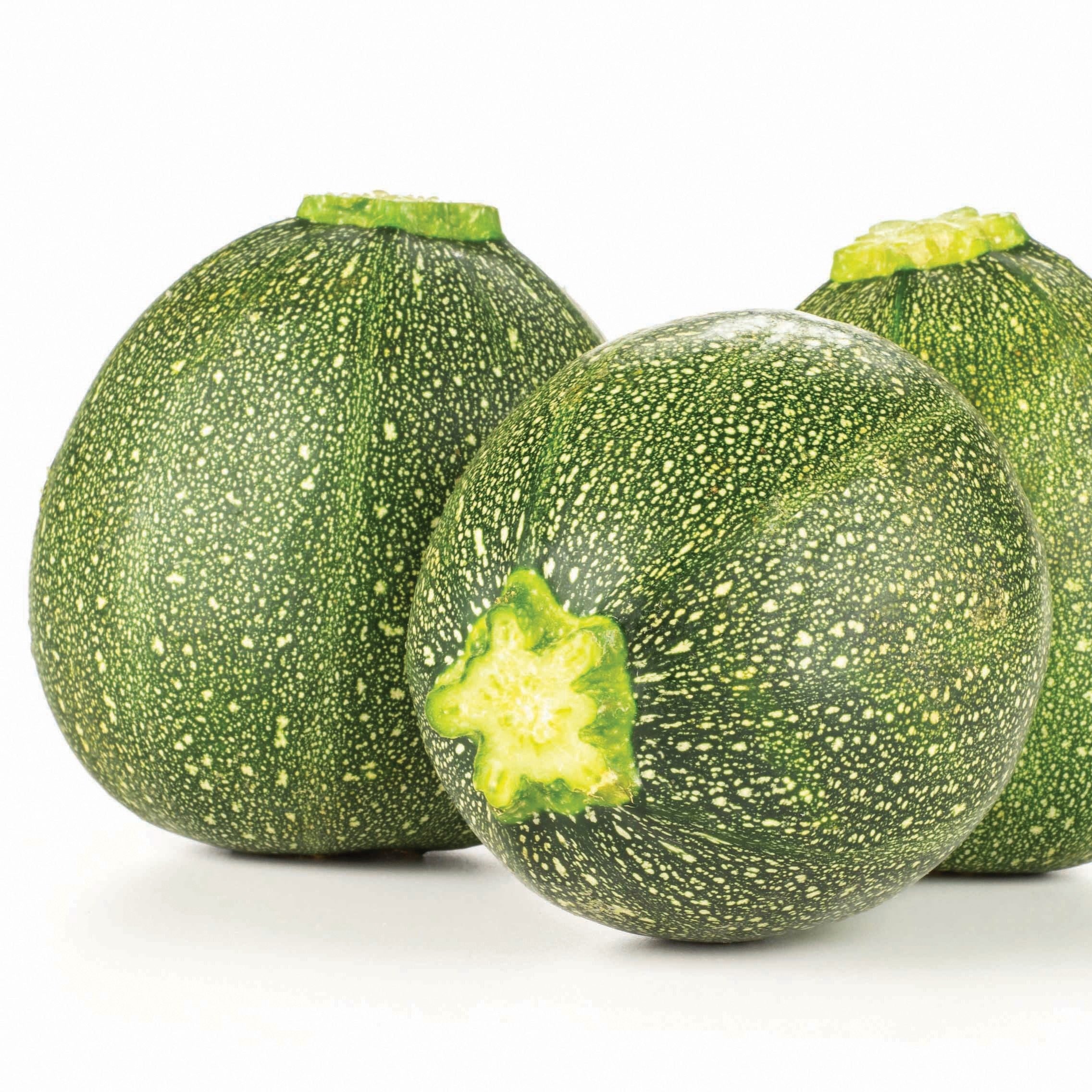 Round Zucchini Seeds