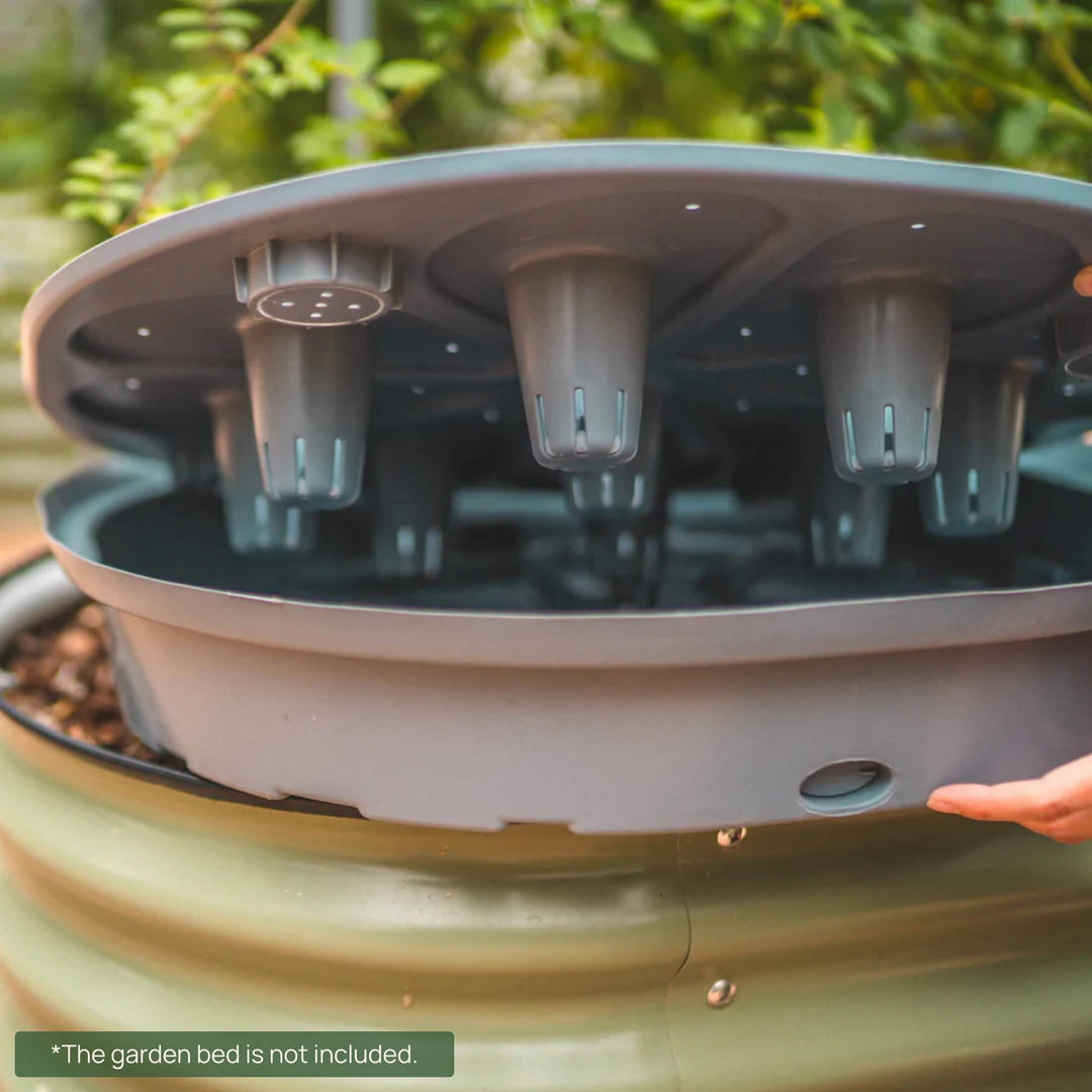 Wicking Cells - Twin Pack | Vego Garden