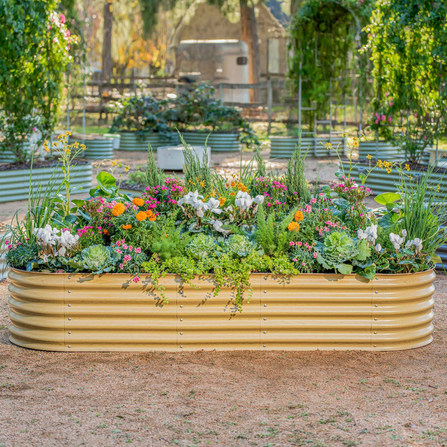 All Products – Vego Garden