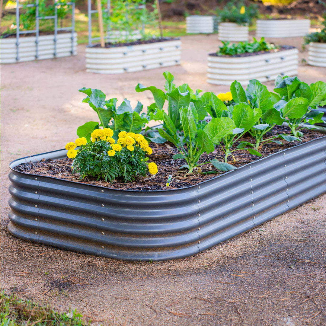 17" Tall 10 in 1 Modular Metal Raised Garden Bed Kit | Vego Garden