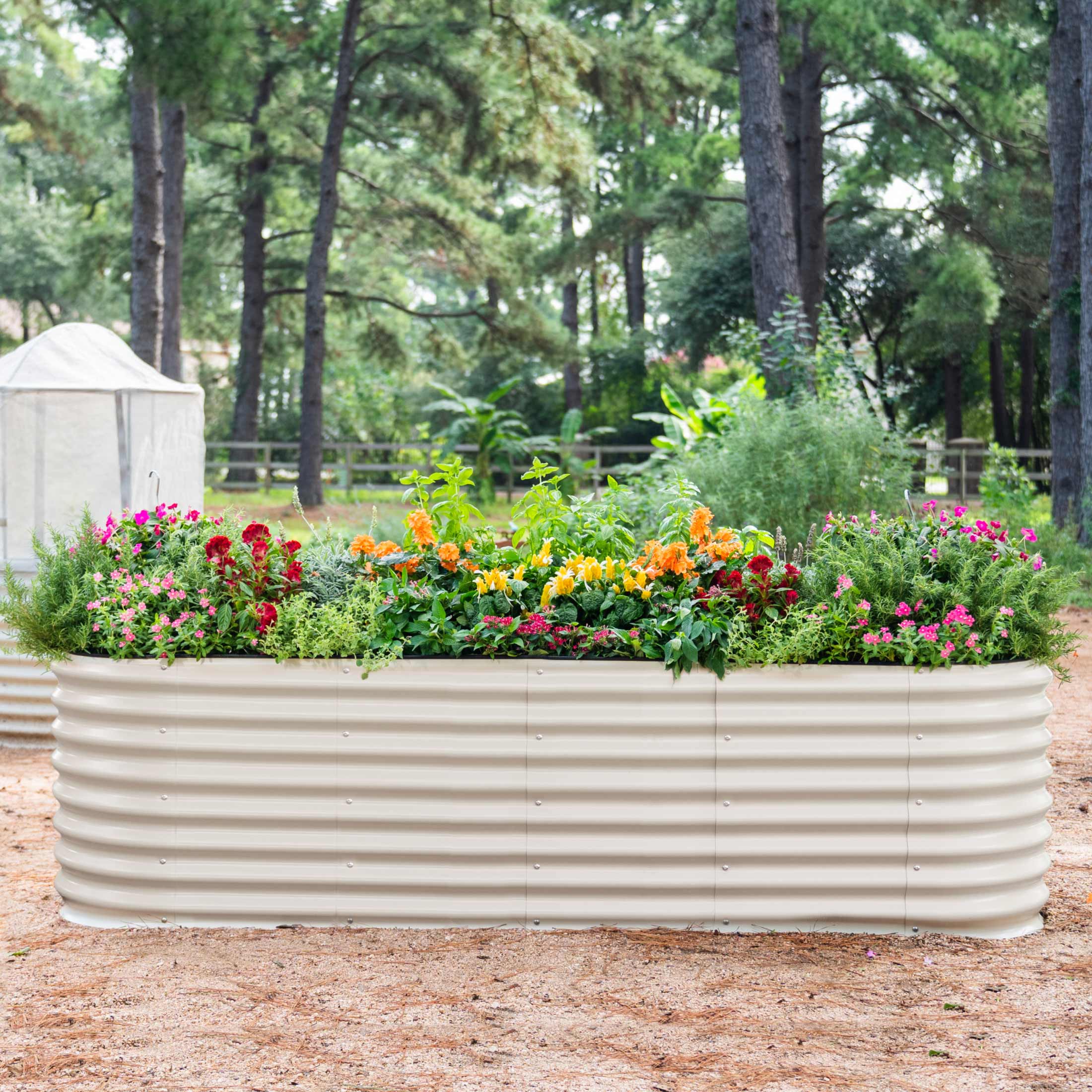 Raised Garden Beds Metal Cabinet Large Oval Metal Raised Garden Bed