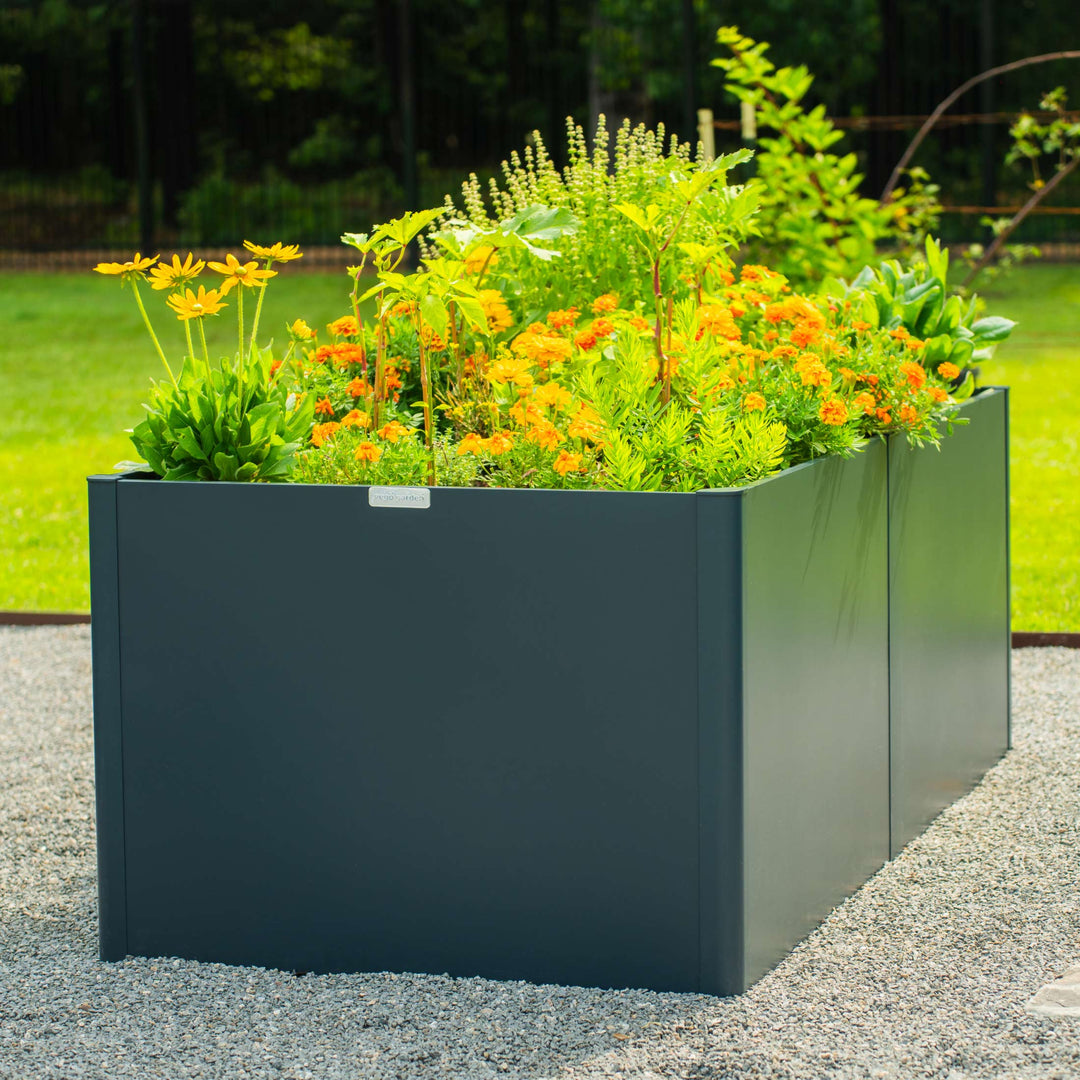 32" Tall Modern Raised Garden Beds 42" x 83" | Vego Garden