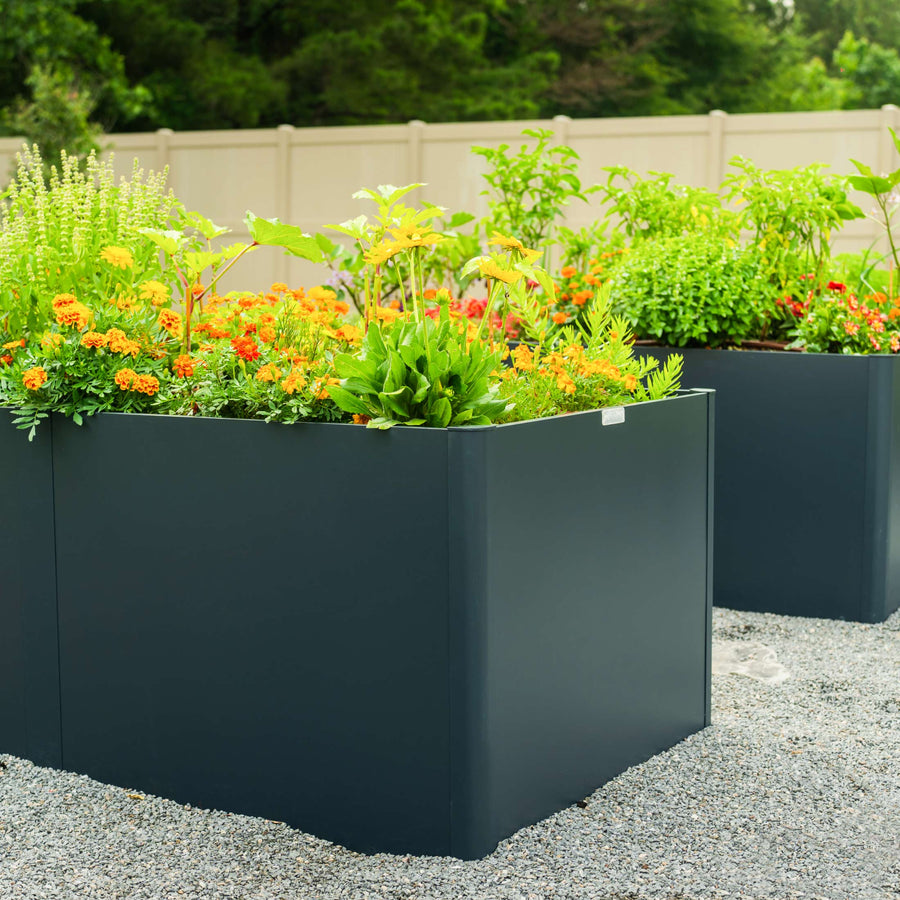 32" Tall Modern Raised Garden Beds 42" x 83" | Vego Garden