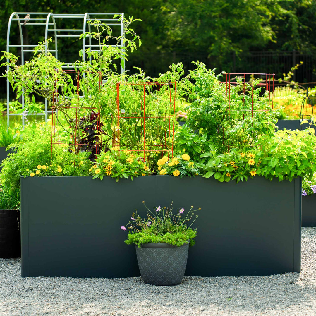 32" Tall Modern Raised Garden Beds 42" x 83" | Vego Garden