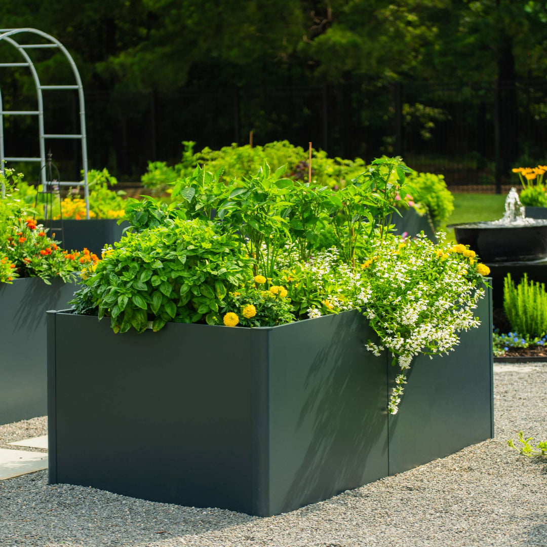 32" Tall Modern Raised Garden Beds 42" x 83" | Vego Garden