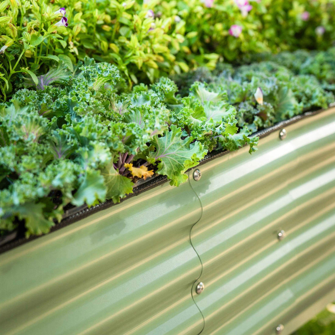 Elevated Garden Bed 2' x 6' | Vegogarden – Vego Garden