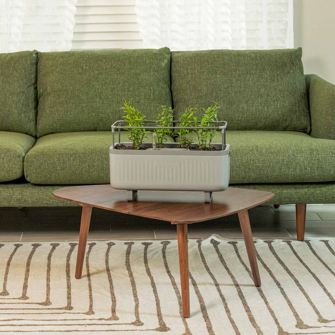 Self-Watering Herb Planter Box with Trellis ｜ Vego Garden