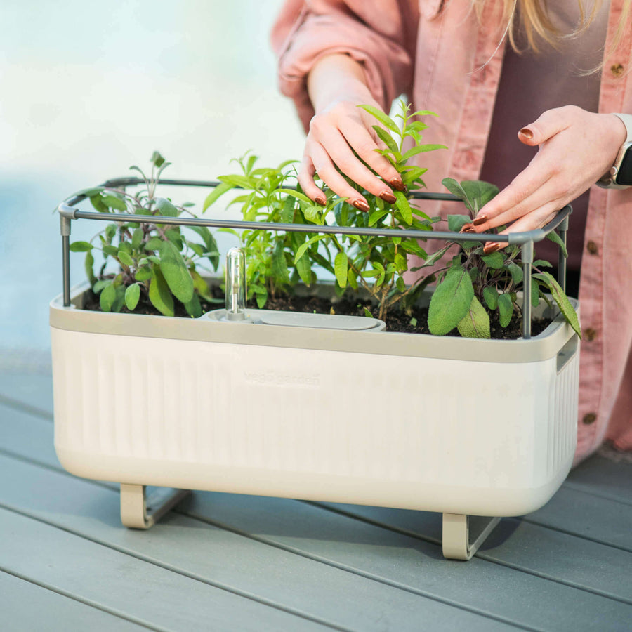 Self-Watering Herb Planter Box with Trellis ｜ Vego Garden