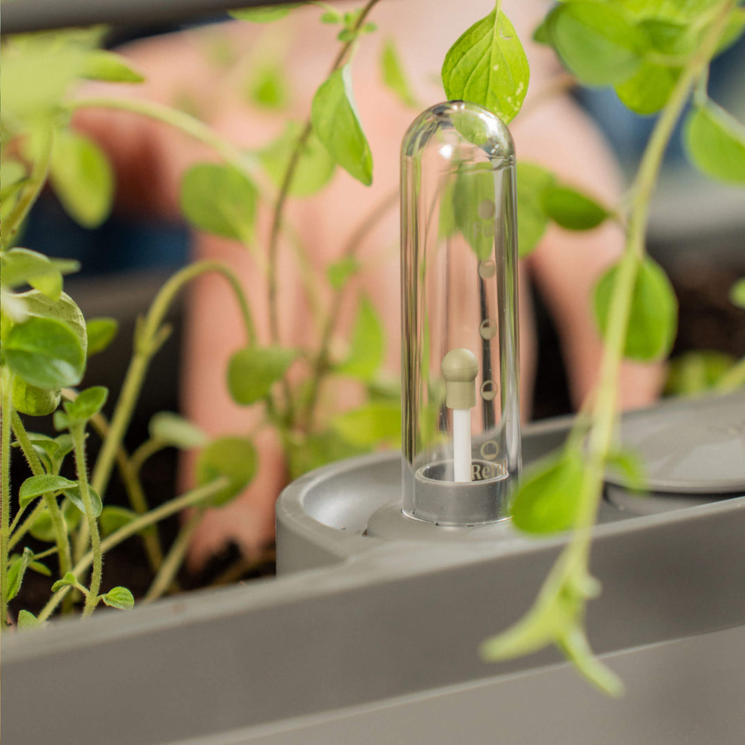 Self-Watering Herb Planter Box with Trellis ｜ Vego Garden