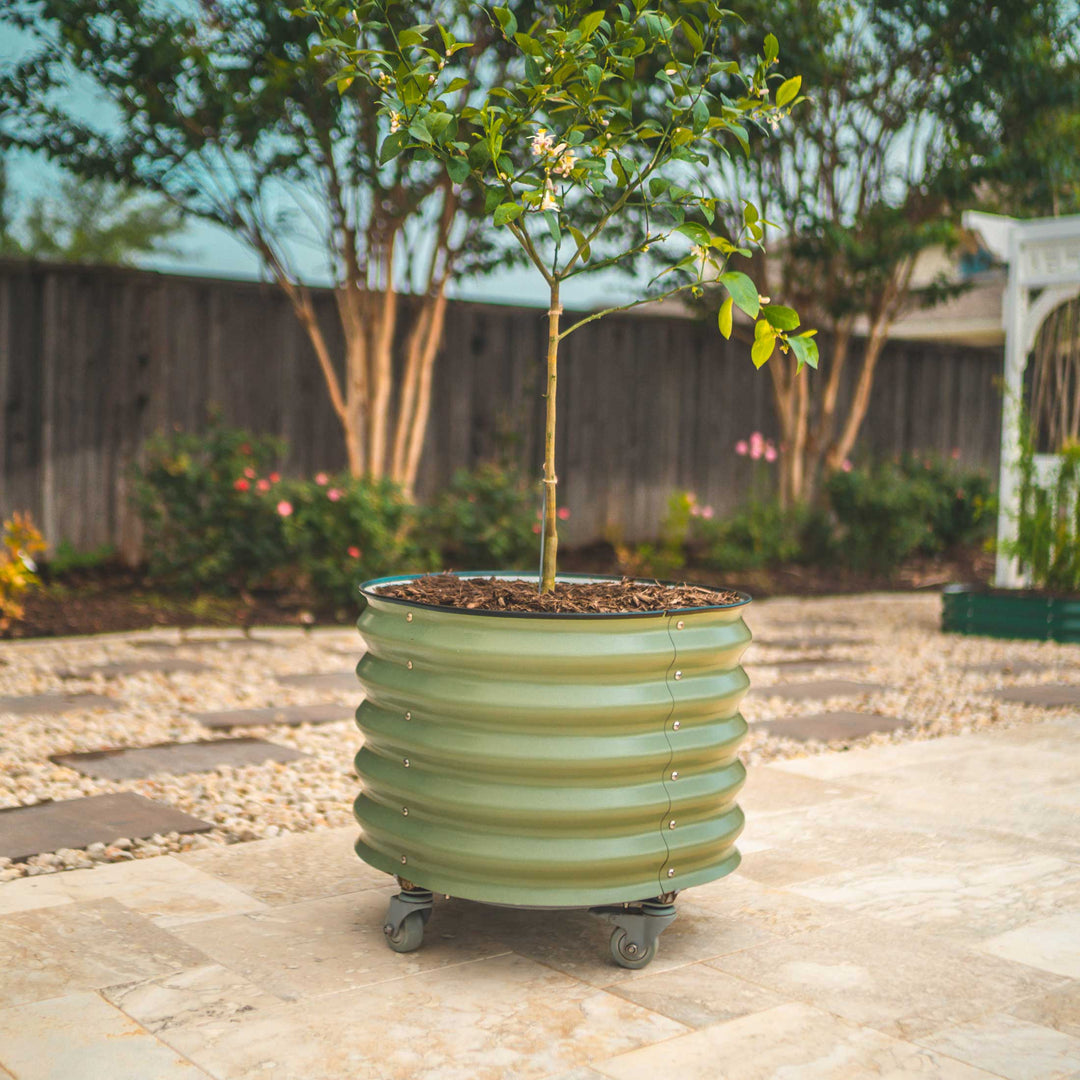 Self-Watering Rolling Planter – Vego Garden