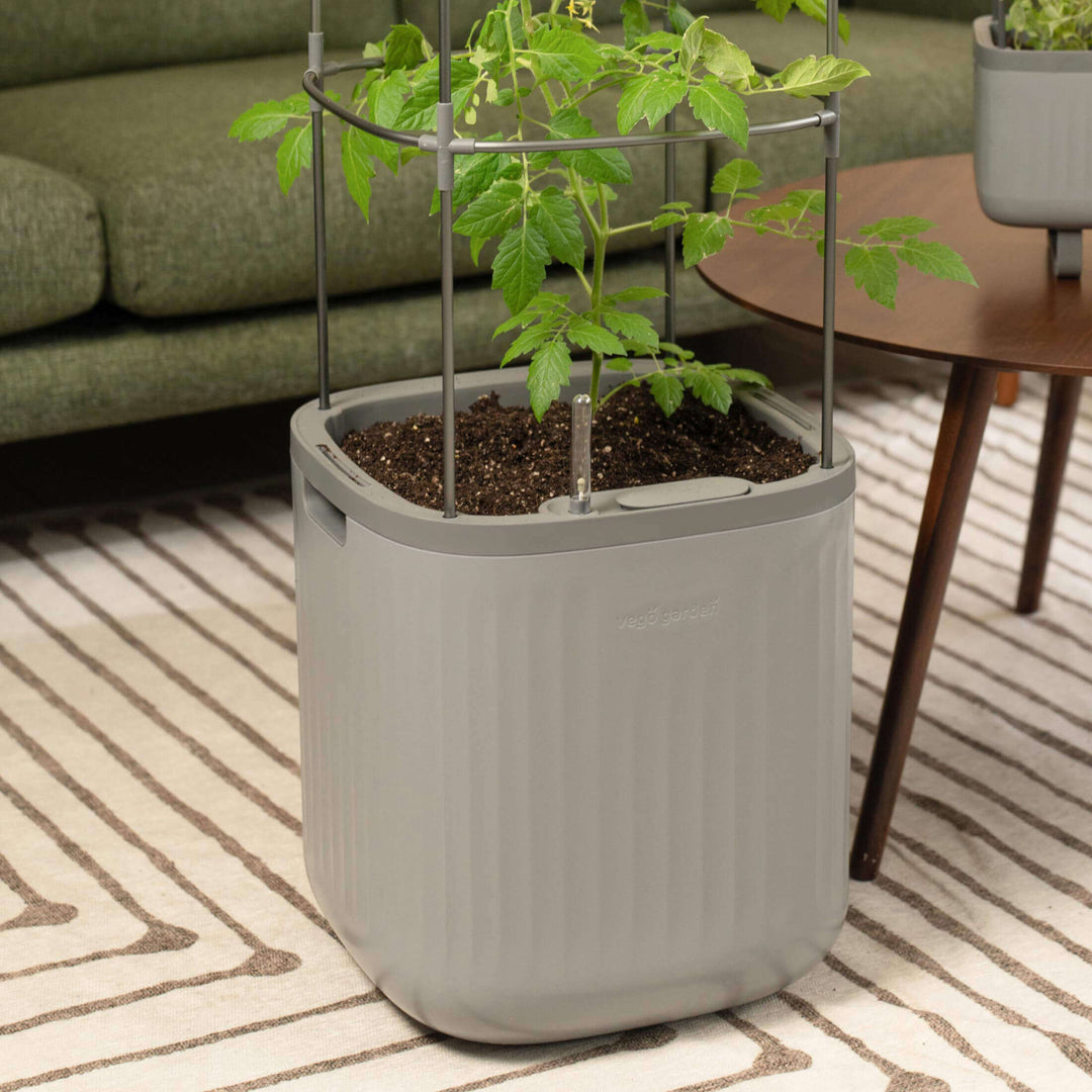 Rolling Self Watering Patio / Indoor Planter with Trellis – Vego Garden