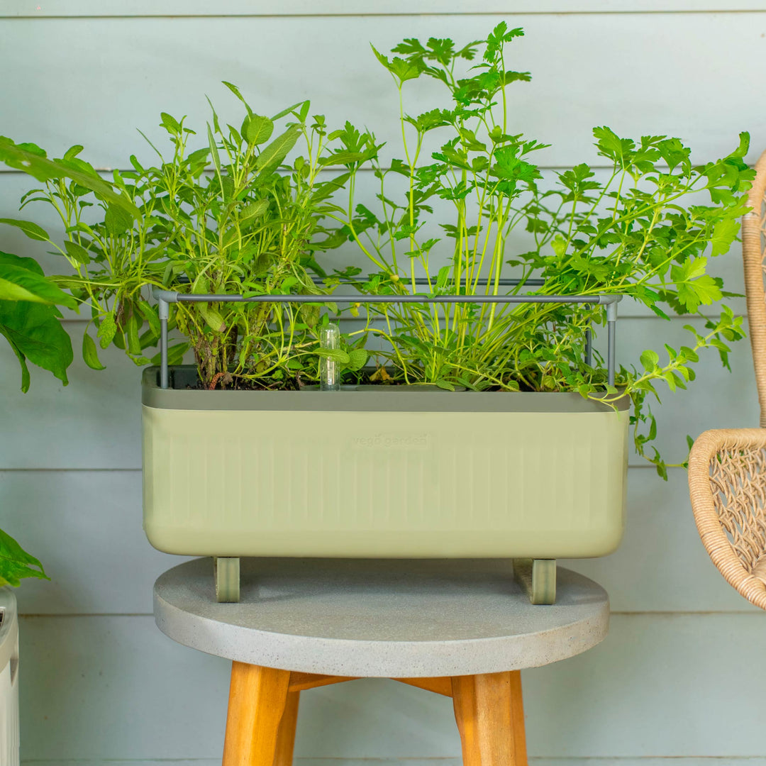 Self-Watering Herb Planter Box with Trellis ｜ Vego Garden