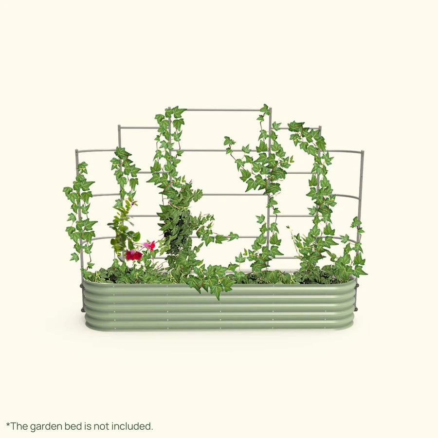 Vertical Herb Garden Wall Trellis System - Vego Garden