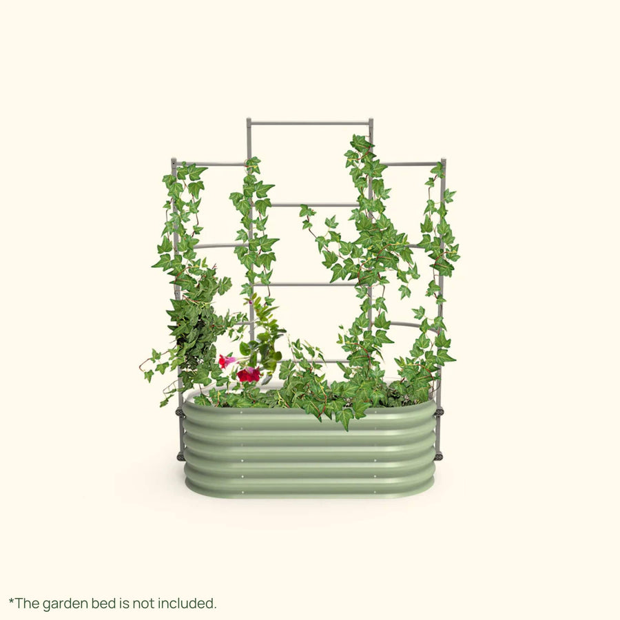Vertical Herb Garden Wall Trellis System - Vego Garden