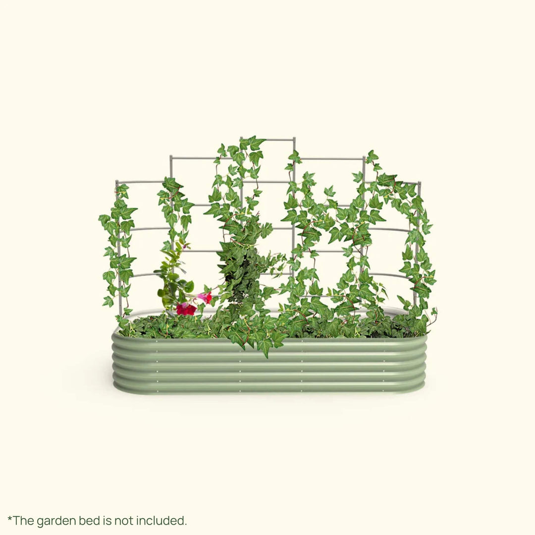 Vertical Herb Garden Wall Trellis System - Vego Garden