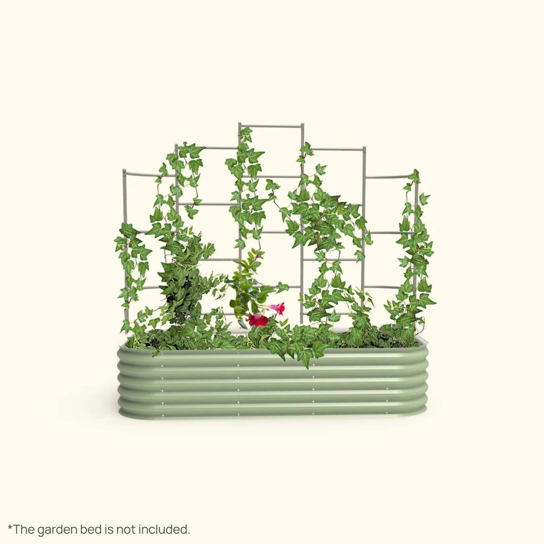 Vertical Herb Garden Wall Trellis System - Vego Garden