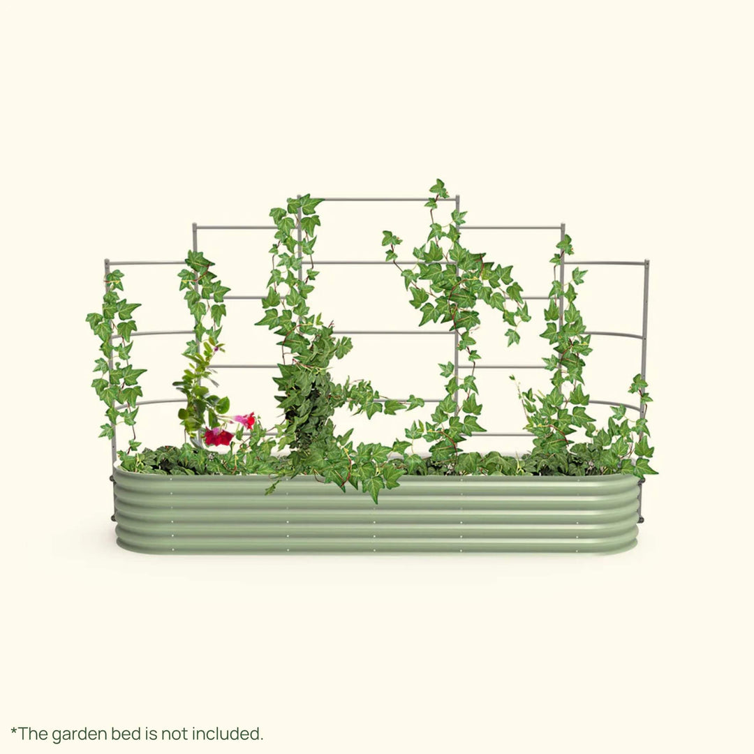Vertical Herb Garden Wall Trellis System - Vego Garden