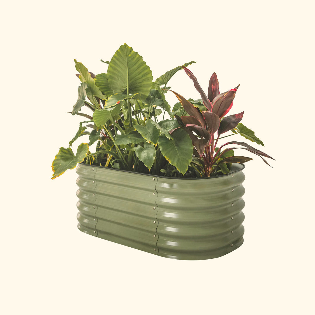 Outdoor Herbs and Kids Garden Planter Box | Vego Garden